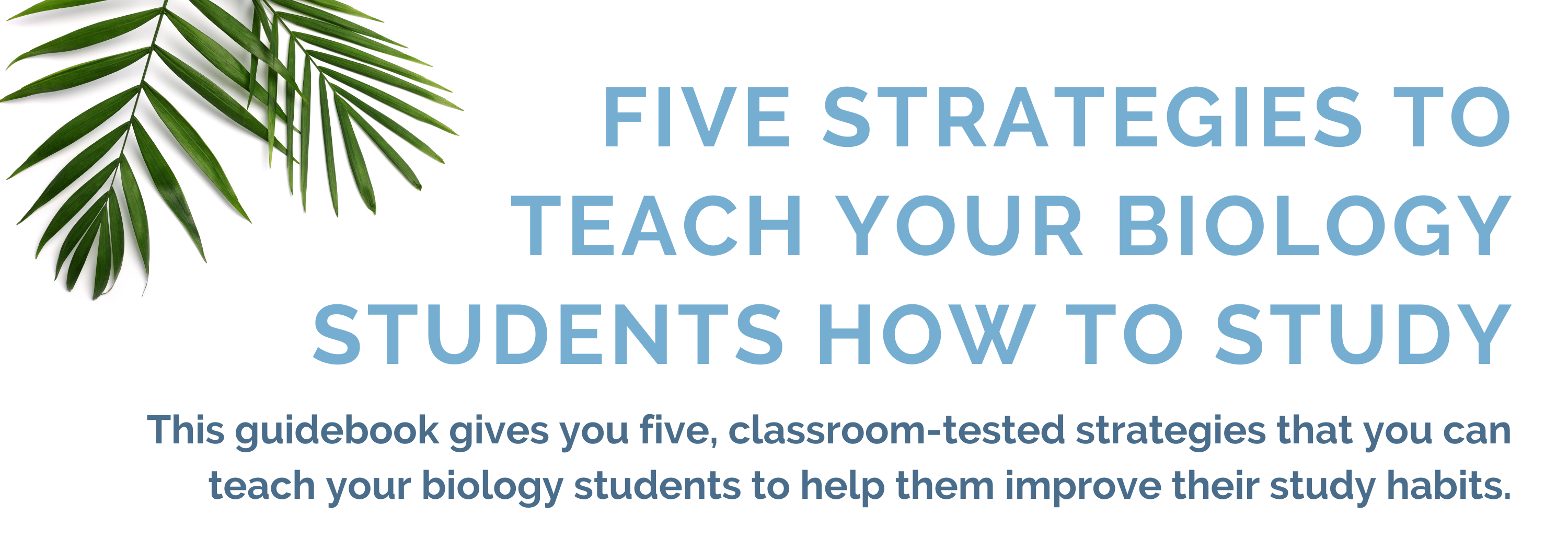 Studying Landing Page - The Tropical Science Teacher